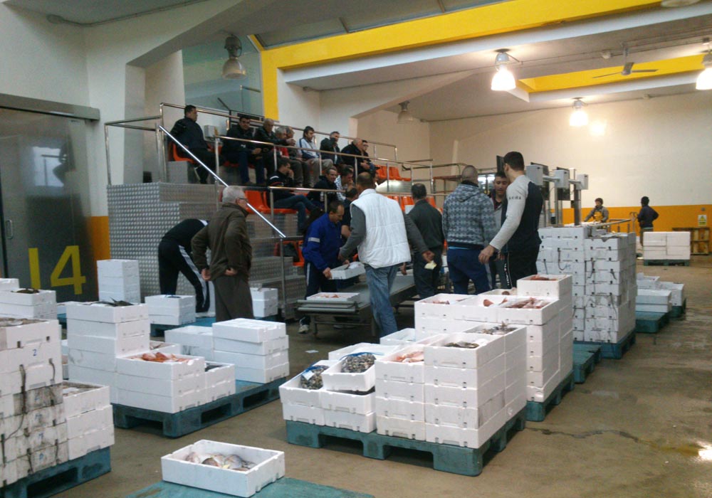 Lonja de Estepona Online – Tienda online de la Lonja de Pescado de Estepona